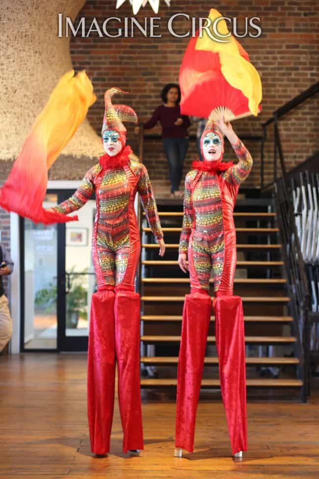 Modern Cirque | Cirque Nouveau | Inspired by “Cirque du Soleil ...