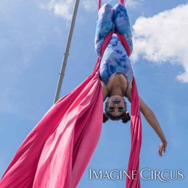Arts & Culture Events Archives | ImagineCircus.com