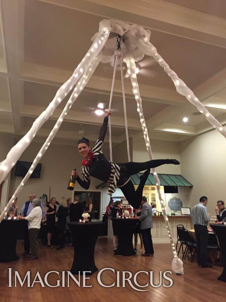 Aerial Bartenders & Unique Entertainment | ImagineCircus.com