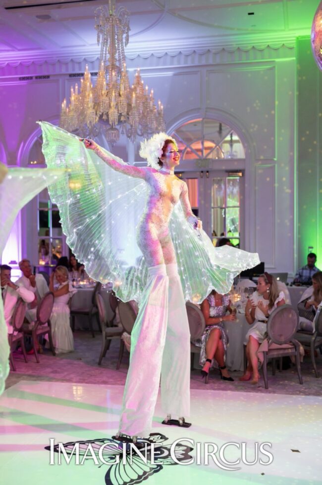 LED Performers | Glow Dancers | Light Shows – ImagineCircus.com